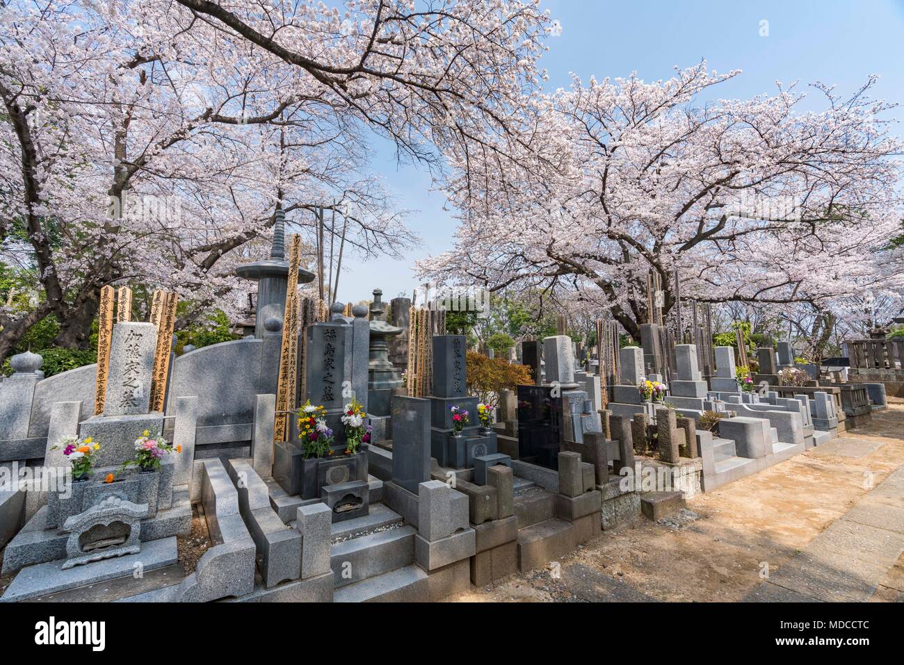 Japanese traditional style cemetery, Ikegami Honmonji temple, Ota-Ku ...