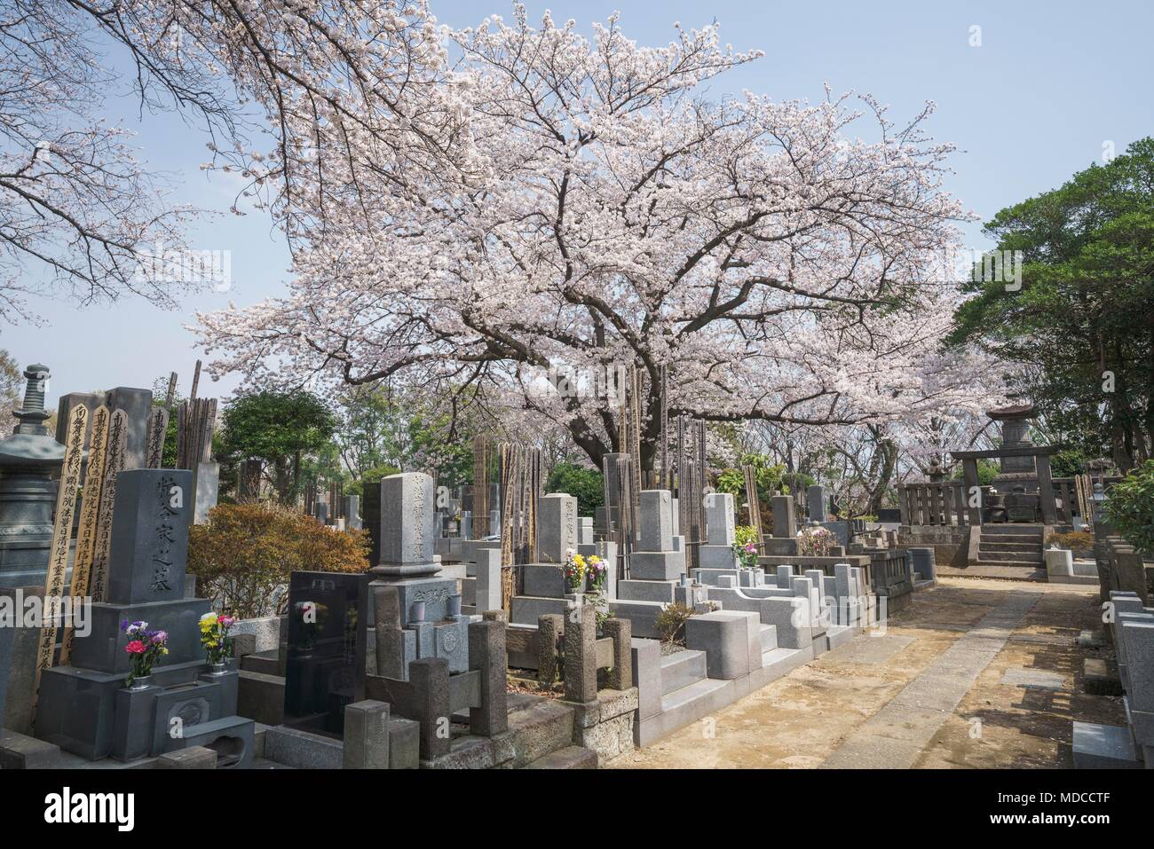 Japanese traditional style cemetery, Ikegami Honmonji temple, Ota-Ku ...