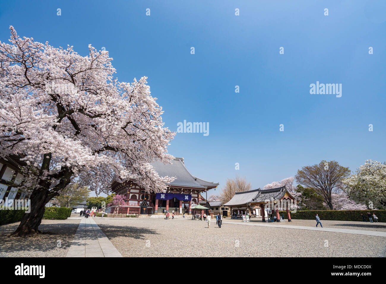 Ikegami Honmonji temple, Ota-Ku, Tokyo, Japan Stock Photo - Alamy