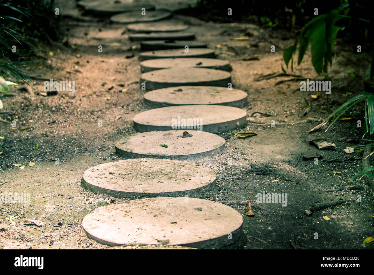 Path pathway tiles hi-res stock photography and images - Alamy
