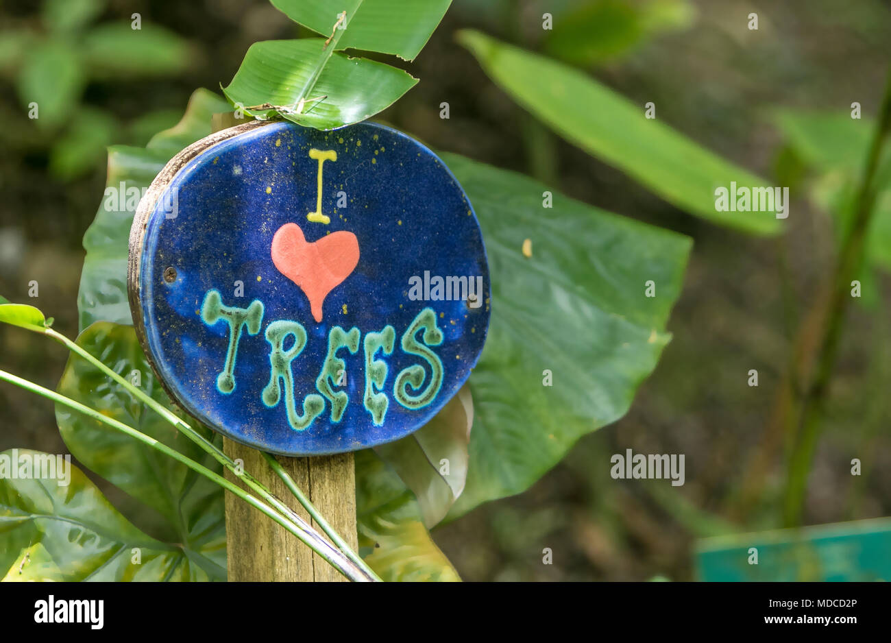 "I love trees" sign in a botanical garden Stock Photo - Alamy