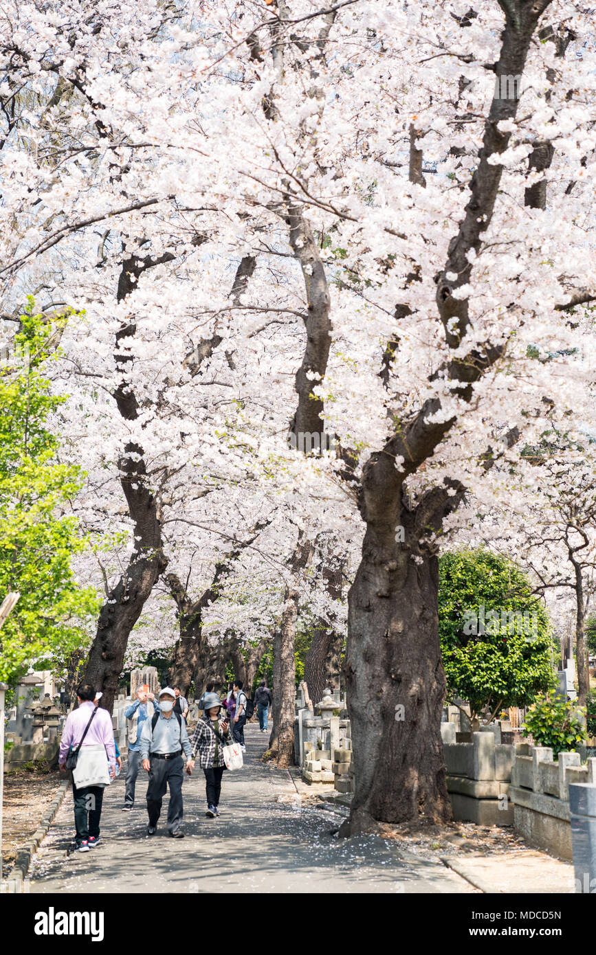 Traditional japanese cemetery in tokyo hi-res stock photography and ...
