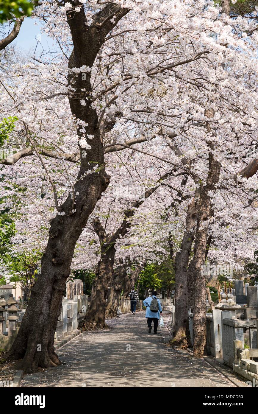 Traditional japanese cemetery in tokyo hi-res stock photography and ...