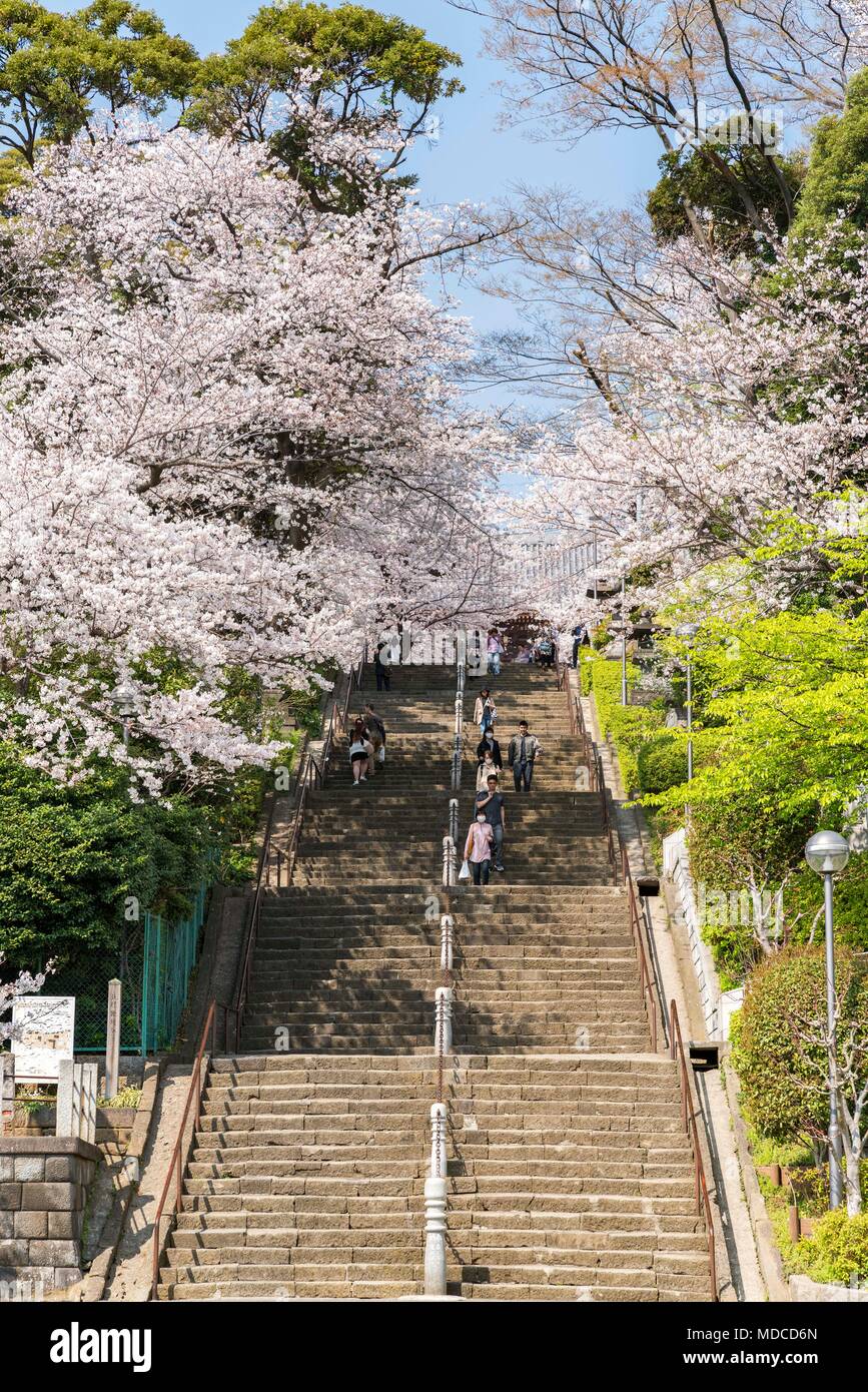 Entrance stairs, Ikegami Honmonji temple, Ota-Ku, Tokyo, Japan Stock ...