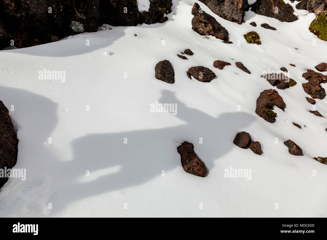 Human shadow on fresh snow, Andes, Ecuador Stock Photo - Alamy