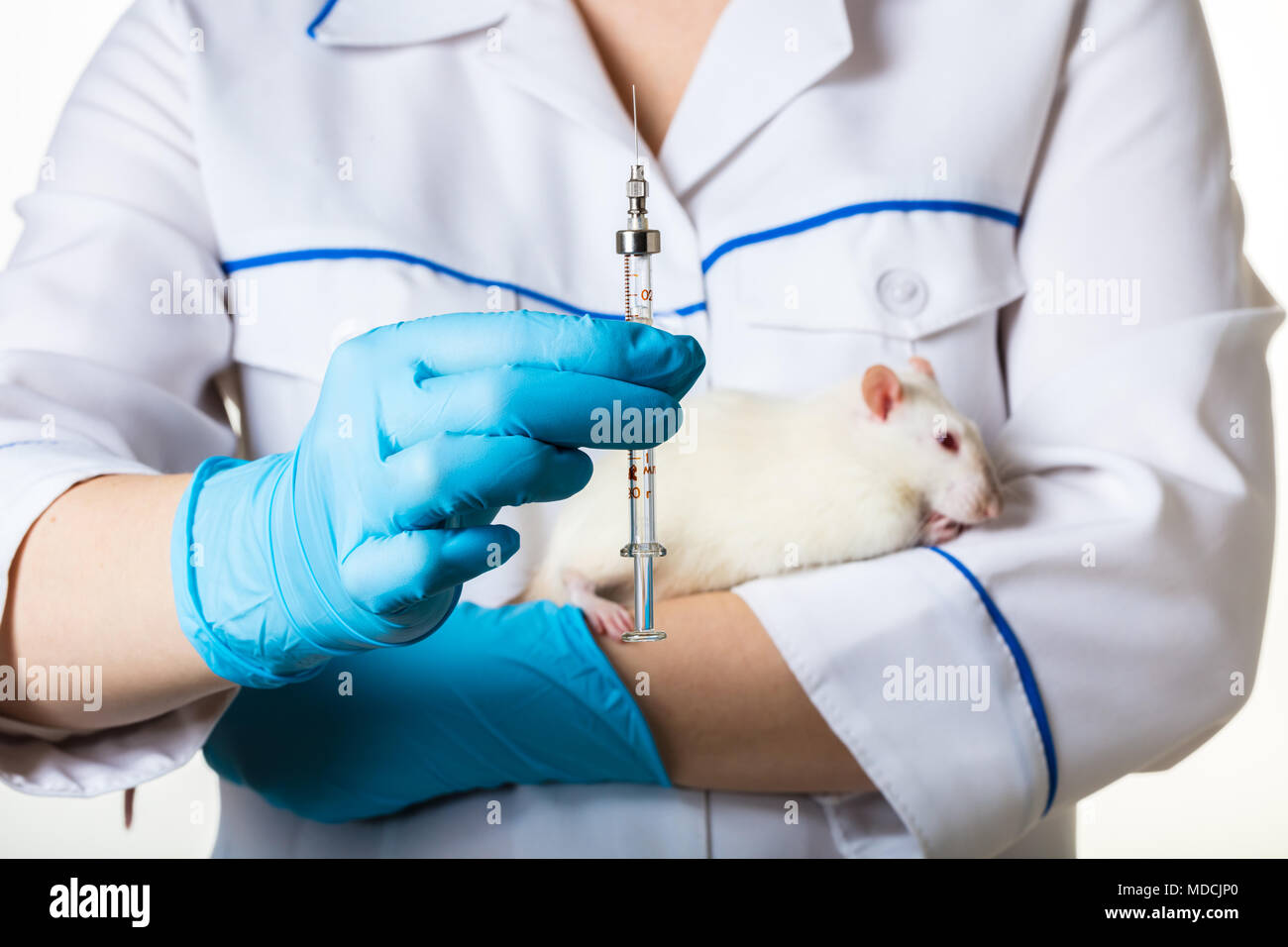 woman in uniform injects syringe to white rat Stock Photo - Alamy