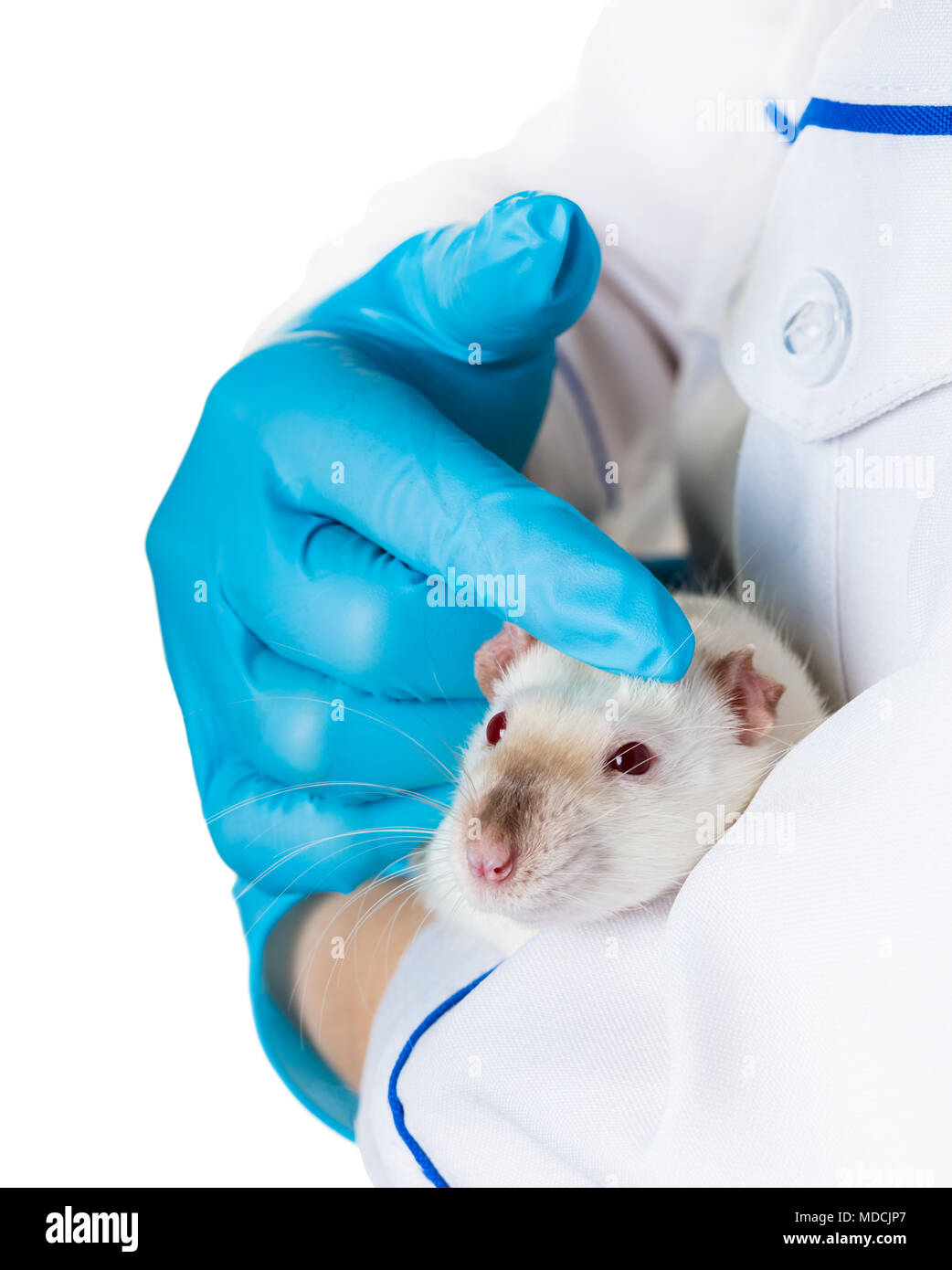 Lab worker in white gloves hi-res stock photography and images - Alamy