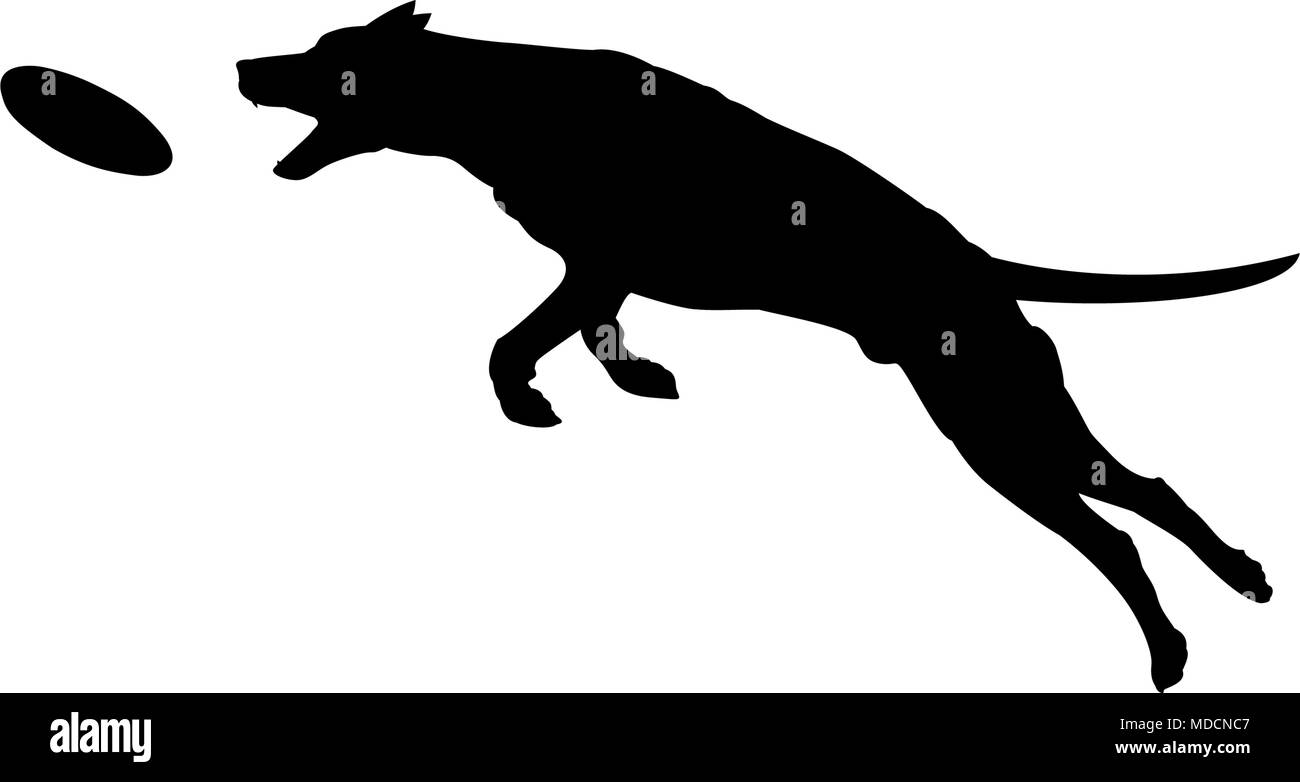 Silhouette of Real Looking Dog Jumping and Fetching a Disc Stock Vector ...