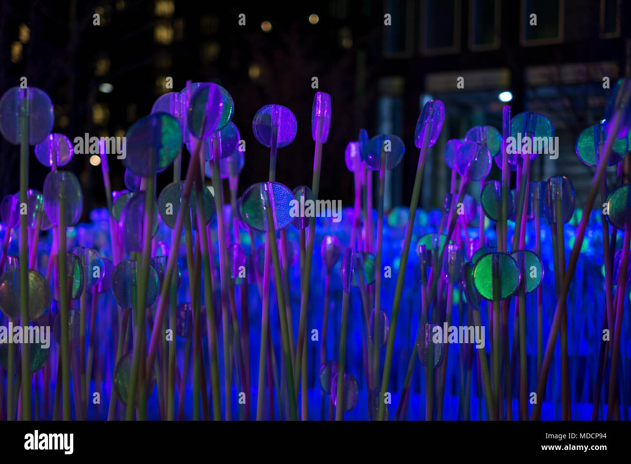Lumiere London 2018. Light installation at Lewis Cubbit Park, Kings ...