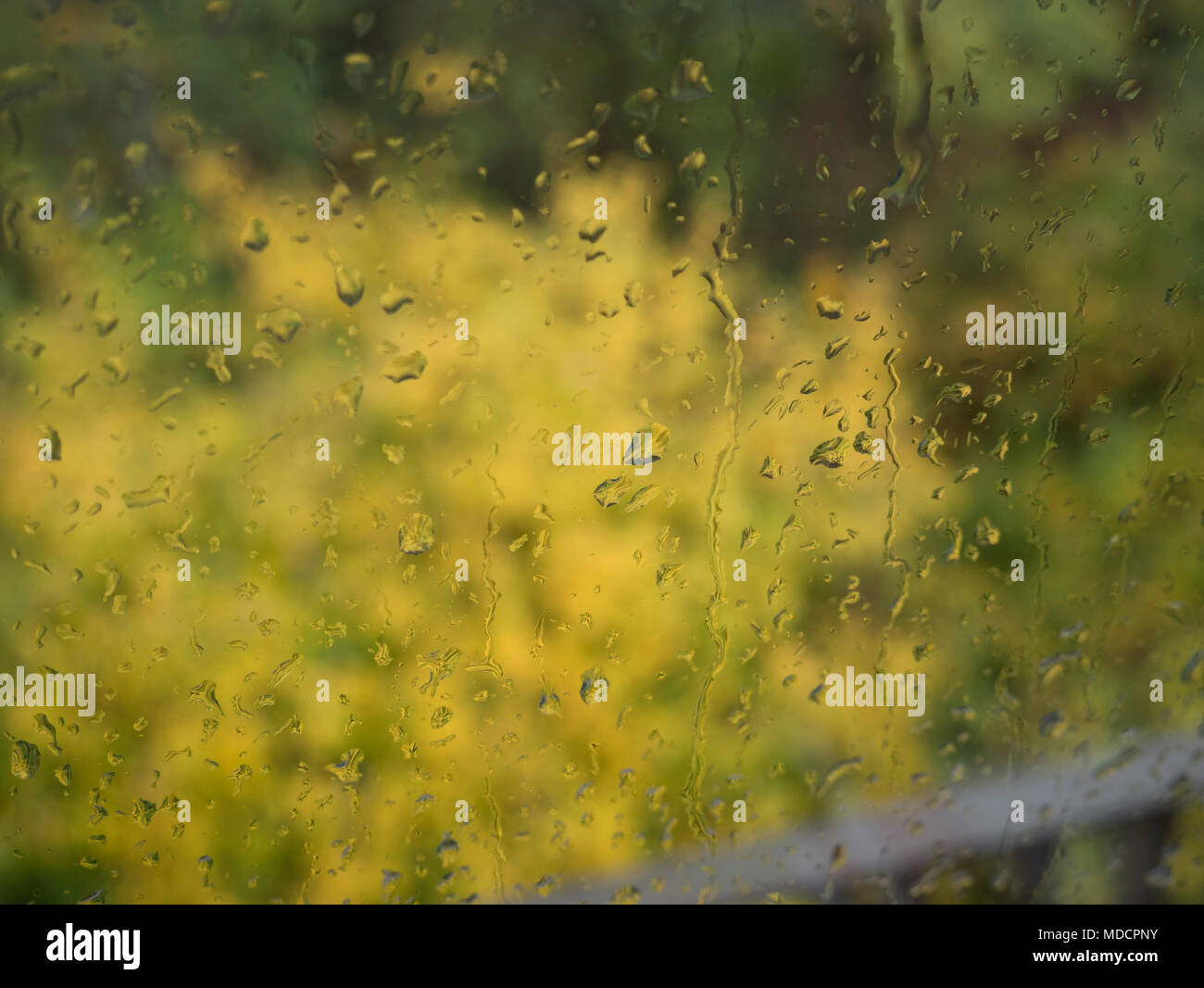 autumn rainy day behind window Stock Photo - Alamy