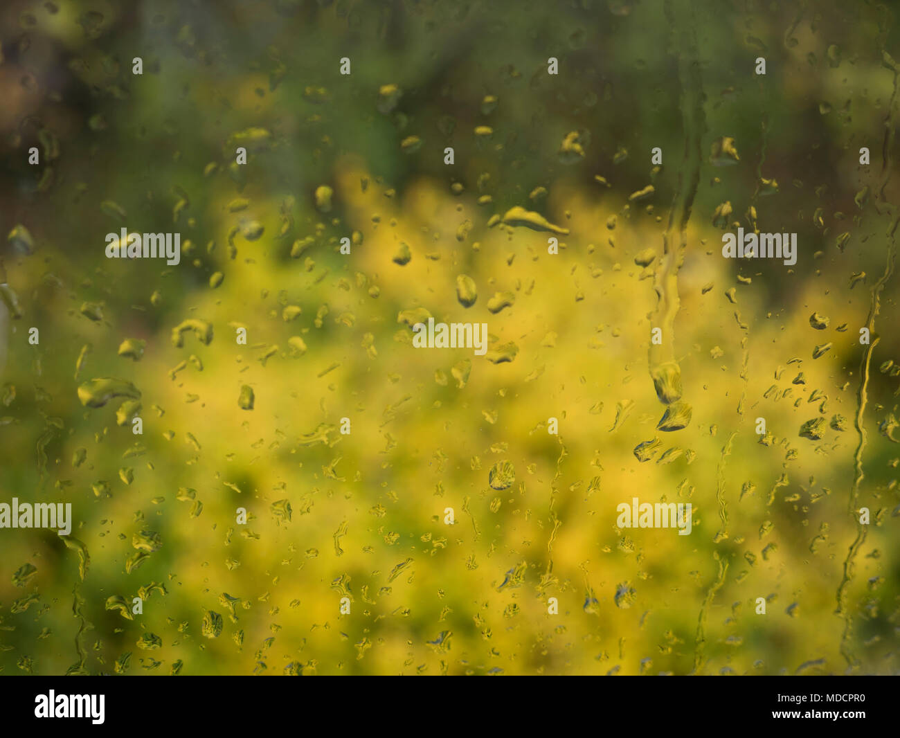 autumn rainy day behind window Stock Photo - Alamy