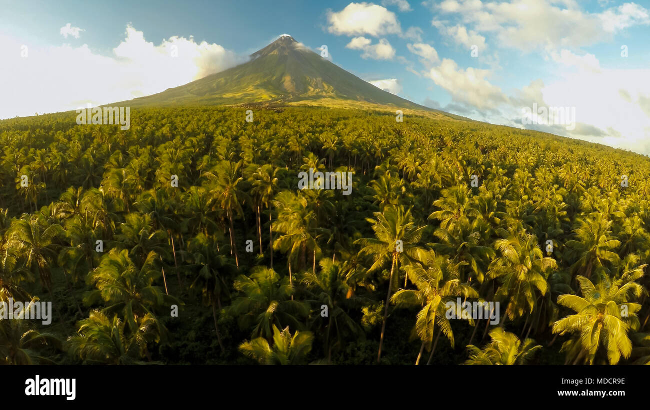 Mayon Volcano near Legazpi city in Philippines. Aerial view over the ...