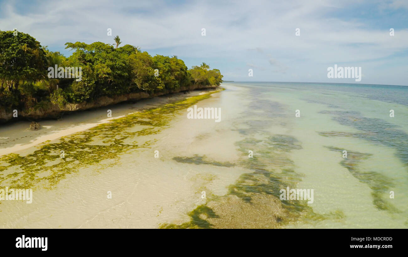 The ocean coast with beautiful coral reefs and views. Aerial view Stock ...