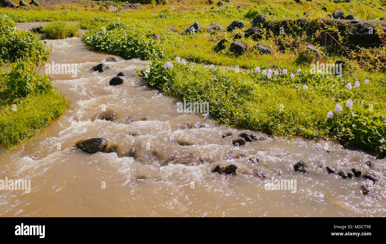 The mountain volcanic river originating from the Mayon volcano. Legazpi ...