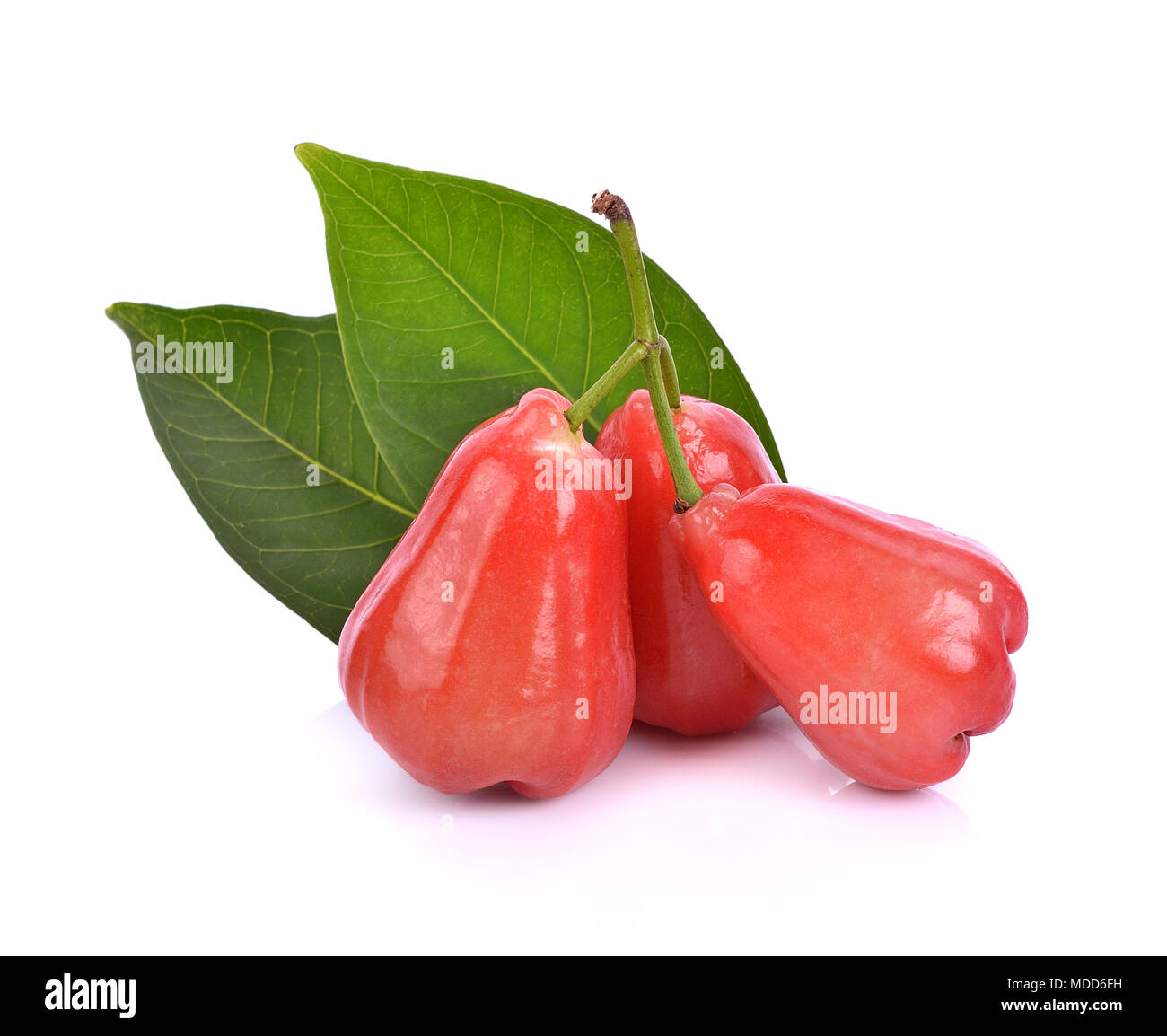 rose apple isolated on white background Stock Photo - Alamy