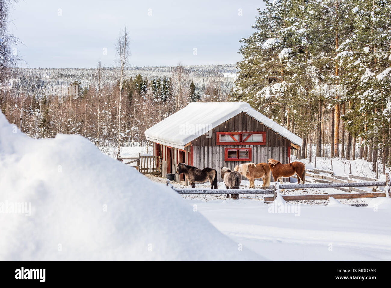 Norrbotten winter hi-res stock photography and images - Alamy