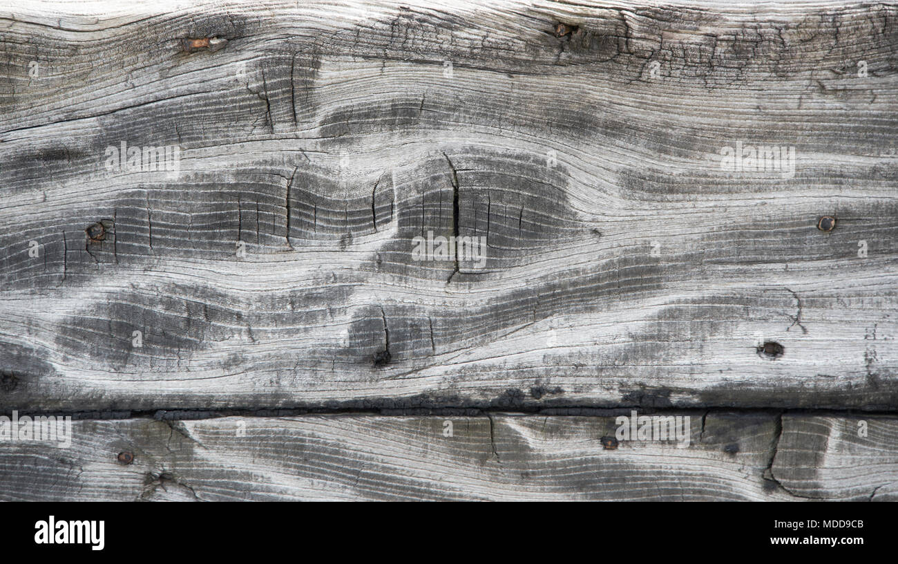 Wooden panel showing grain hi-res stock photography and images - Alamy