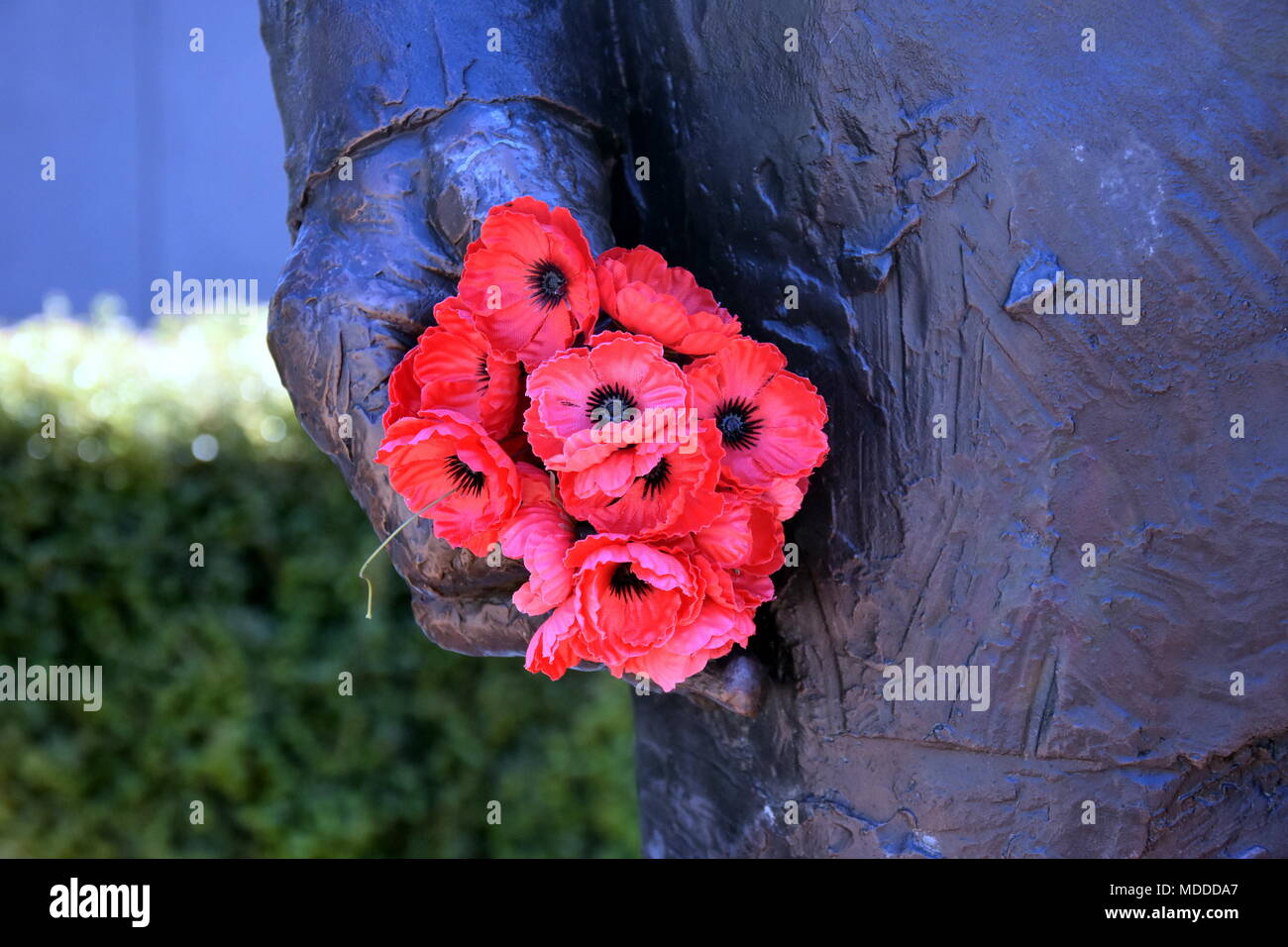 Poppies in a statue hand at the Australian War Memorial in Canberra ...