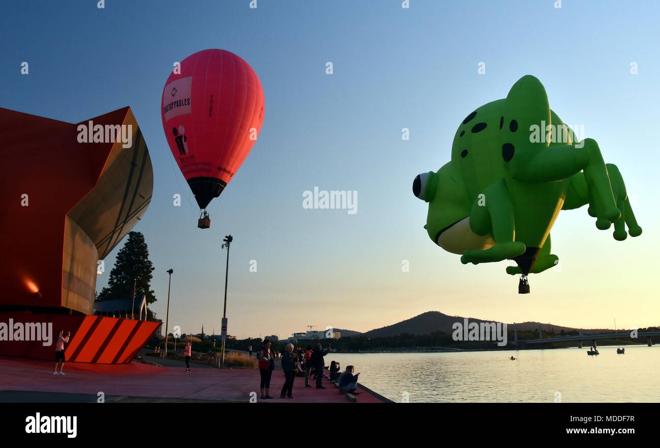 Griffin frog hi-res stock photography and images - Alamy