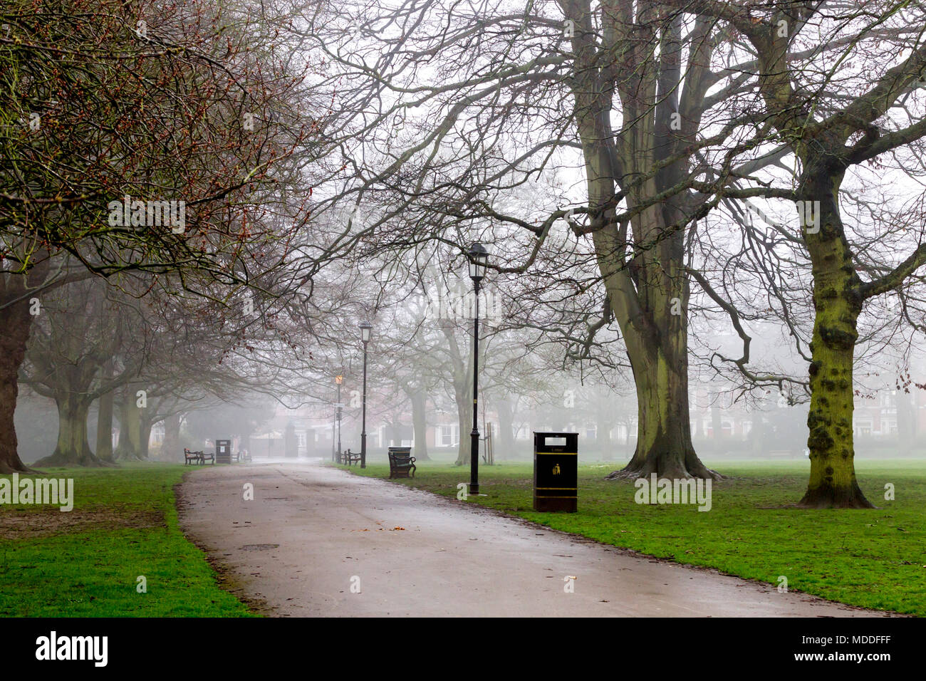 Northampton. UI.K. A wet morning in Abington Park, mist and rain for ...