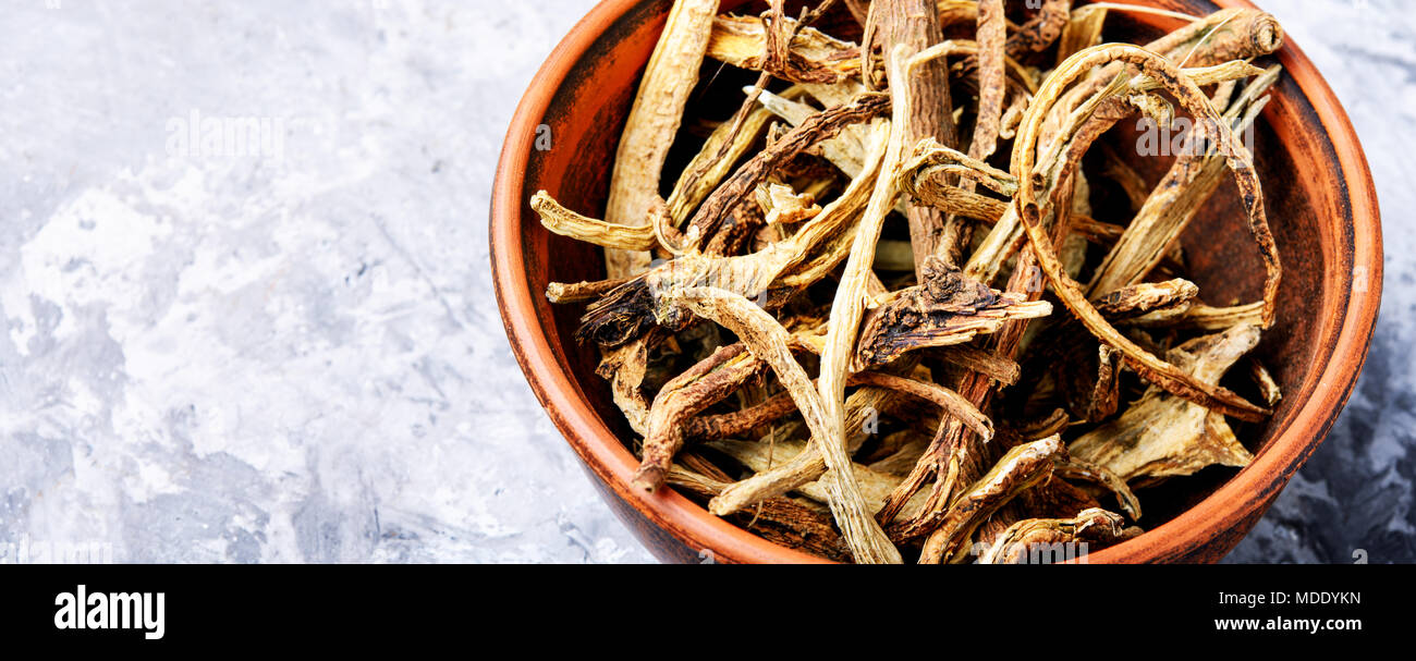 Medicinal raw materials from roots and rhizomes inula.Root elecampane ...