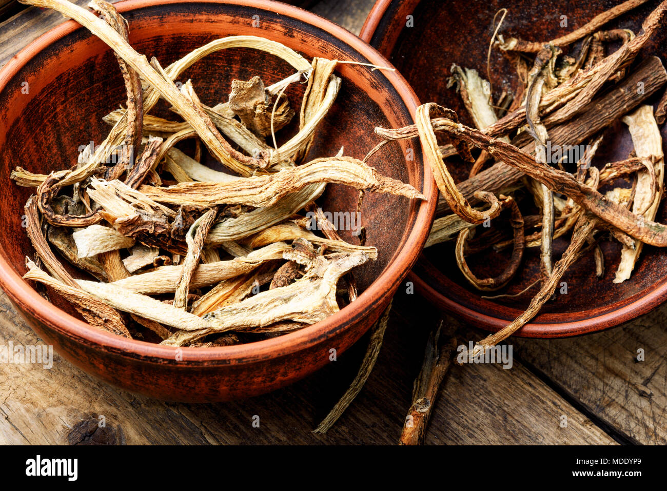 Medicinal raw materials from roots and rhizomes inula.Root elecampane ...