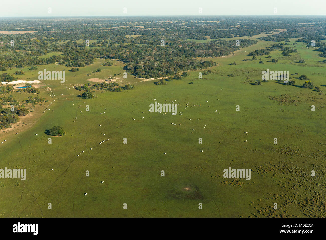 Pantanal aerial hi-res stock photography and images - Alamy