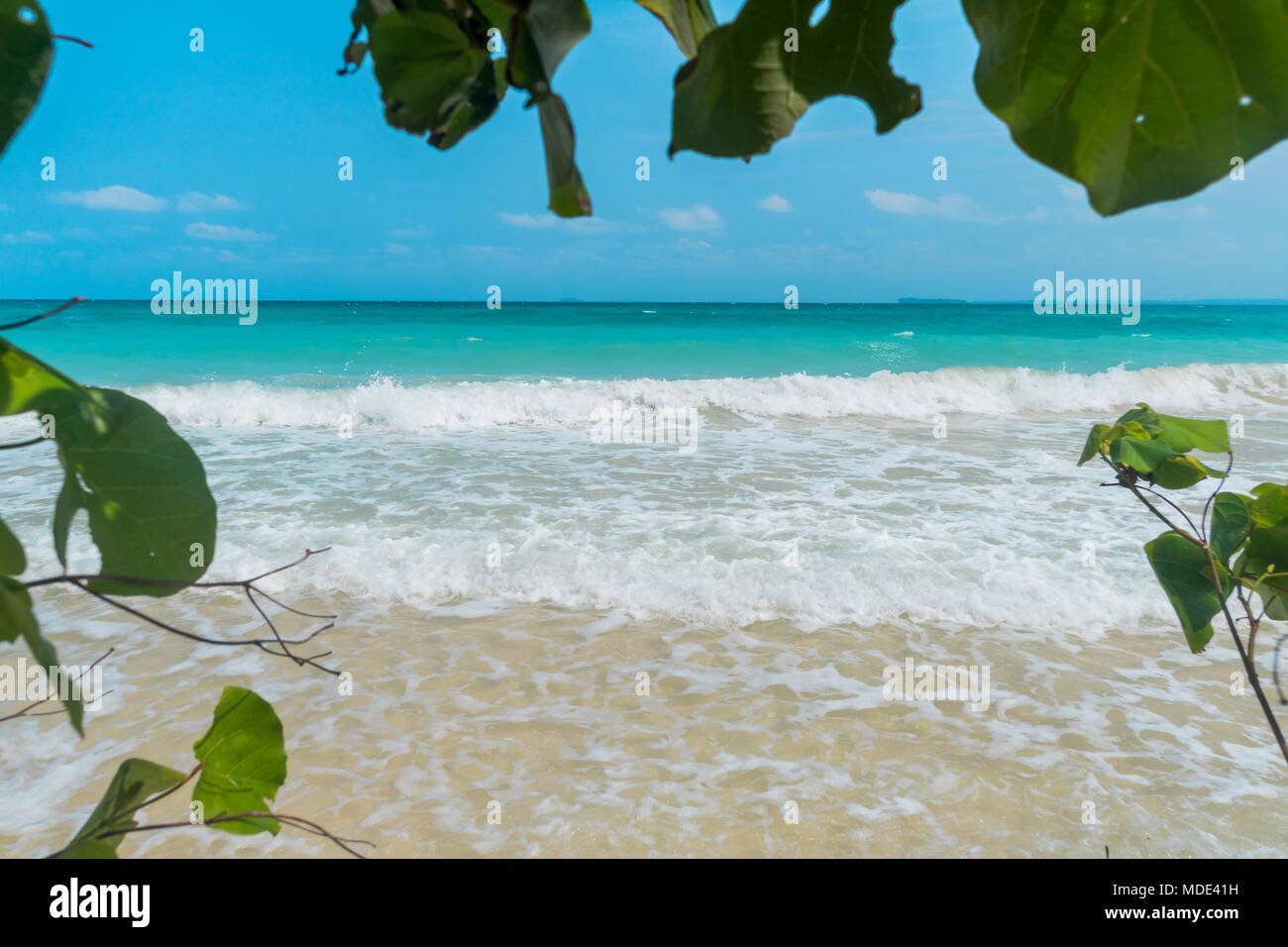 big tree with green leaf shadow over the white sand and beautiful beach ...