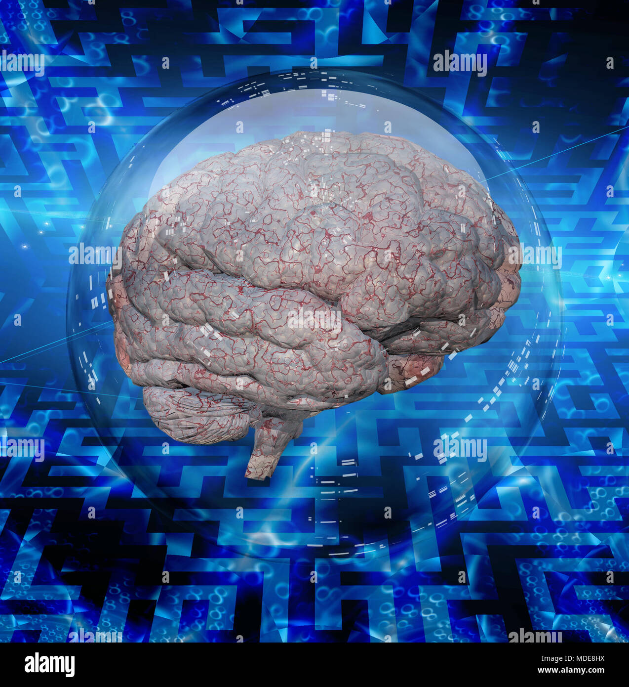 Human brain in glass sphere Stock Photo - Alamy