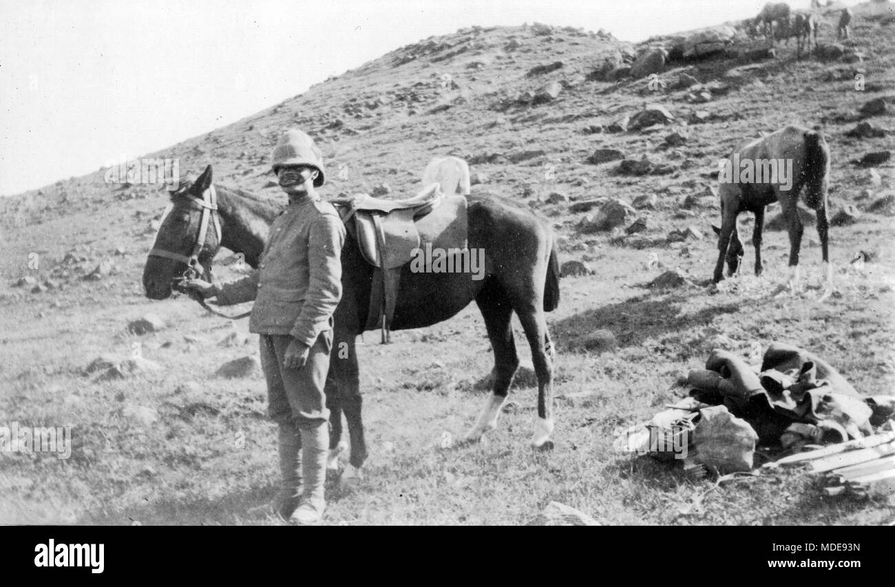 Boer pony hi-res stock photography and images - Alamy