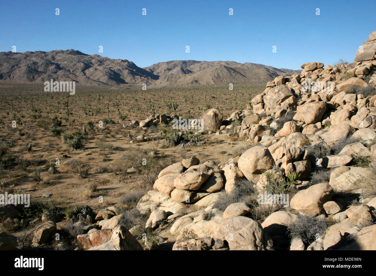 Rock Climb Joshua Tree Big Rocks Yucca Brevifolia Mojave Desert Joshua ...