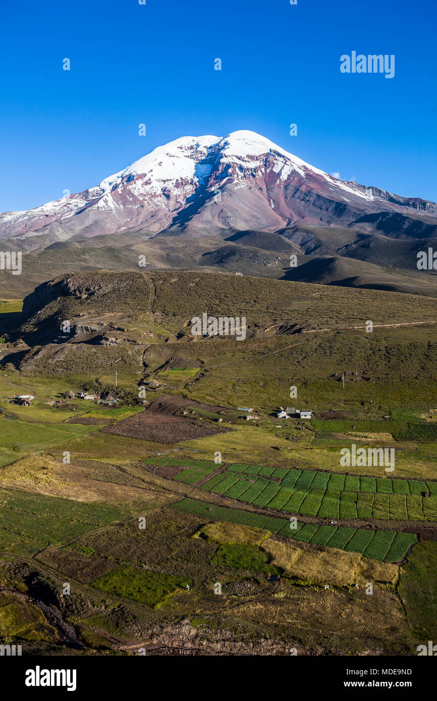 Chimborazo volcano and paramo, Andes, Ecuador Stock Photo - Alamy