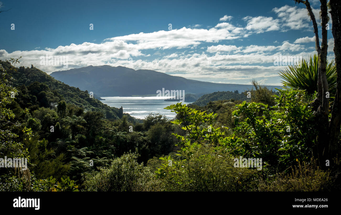 Waimangu Volcanic Rift Valley in Rotorua region, Rotomaha lake, North ...
