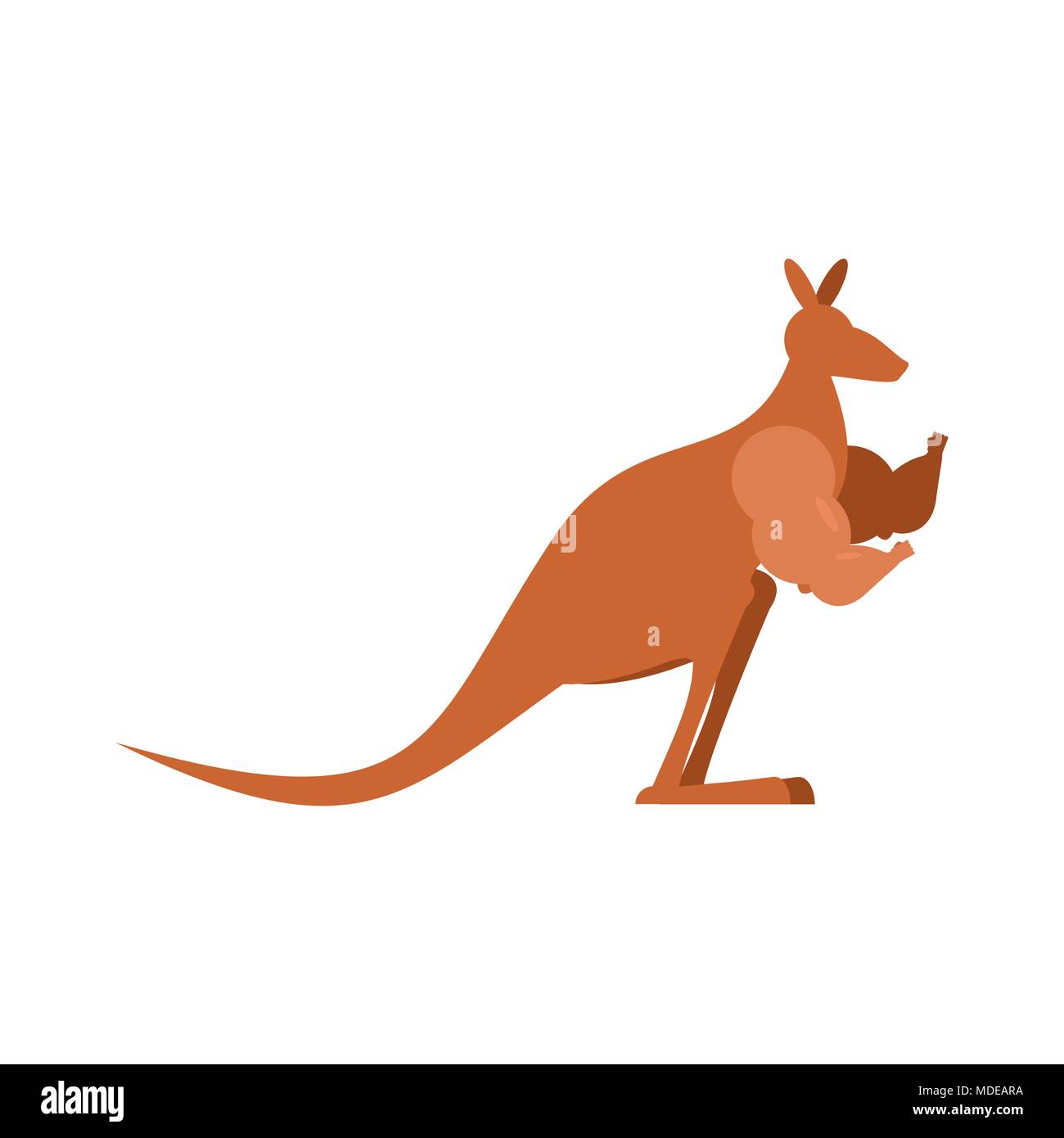 Kangaroo Strong Australia Bheavyweight Australian Wallaby Vector