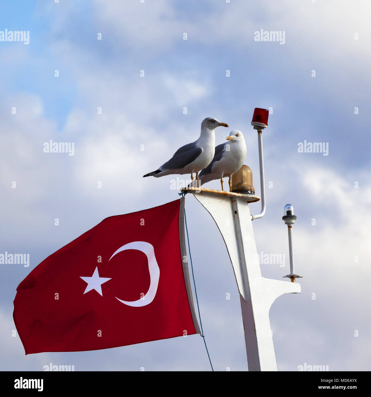 Flag with blue sky and seagull on mast hi-res stock photography and ...