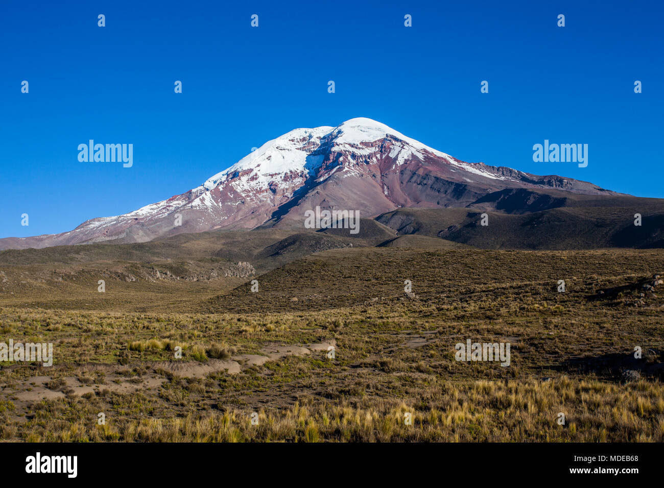 Chimborazo volcano and paramo, Andes, Ecuador Stock Photo - Alamy
