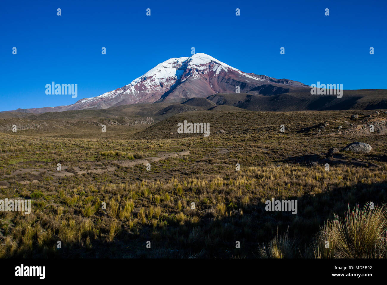 Chimborazo volcano and paramo, Andes, Ecuador Stock Photo - Alamy