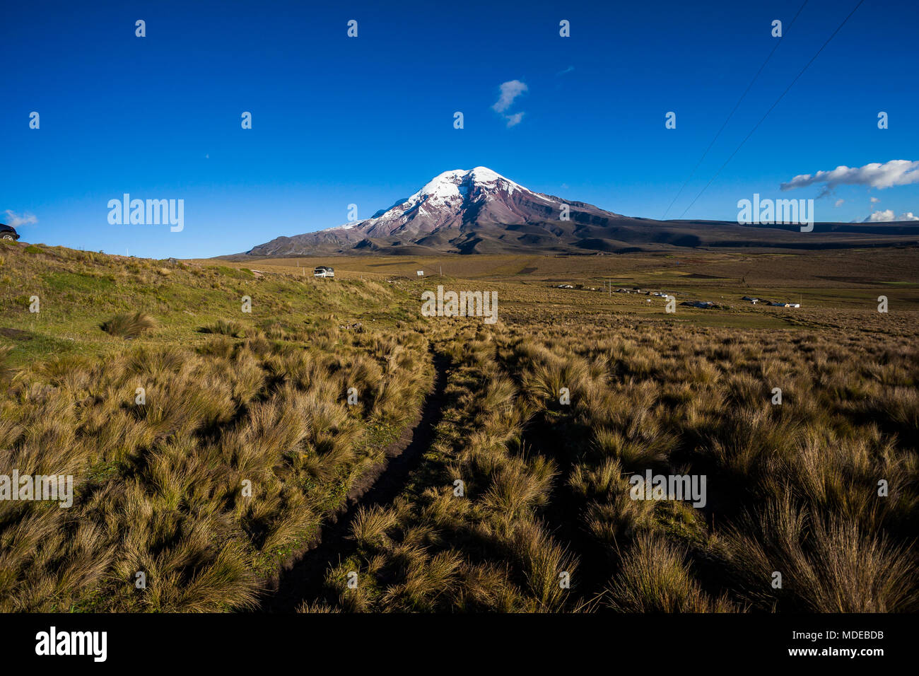 Chimborazo volcano and paramo, Andes, Ecuador Stock Photo - Alamy