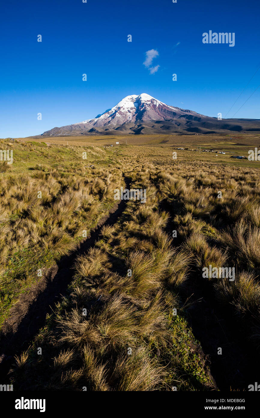 Chimborazo volcano and paramo, Andes, Ecuador Stock Photo - Alamy