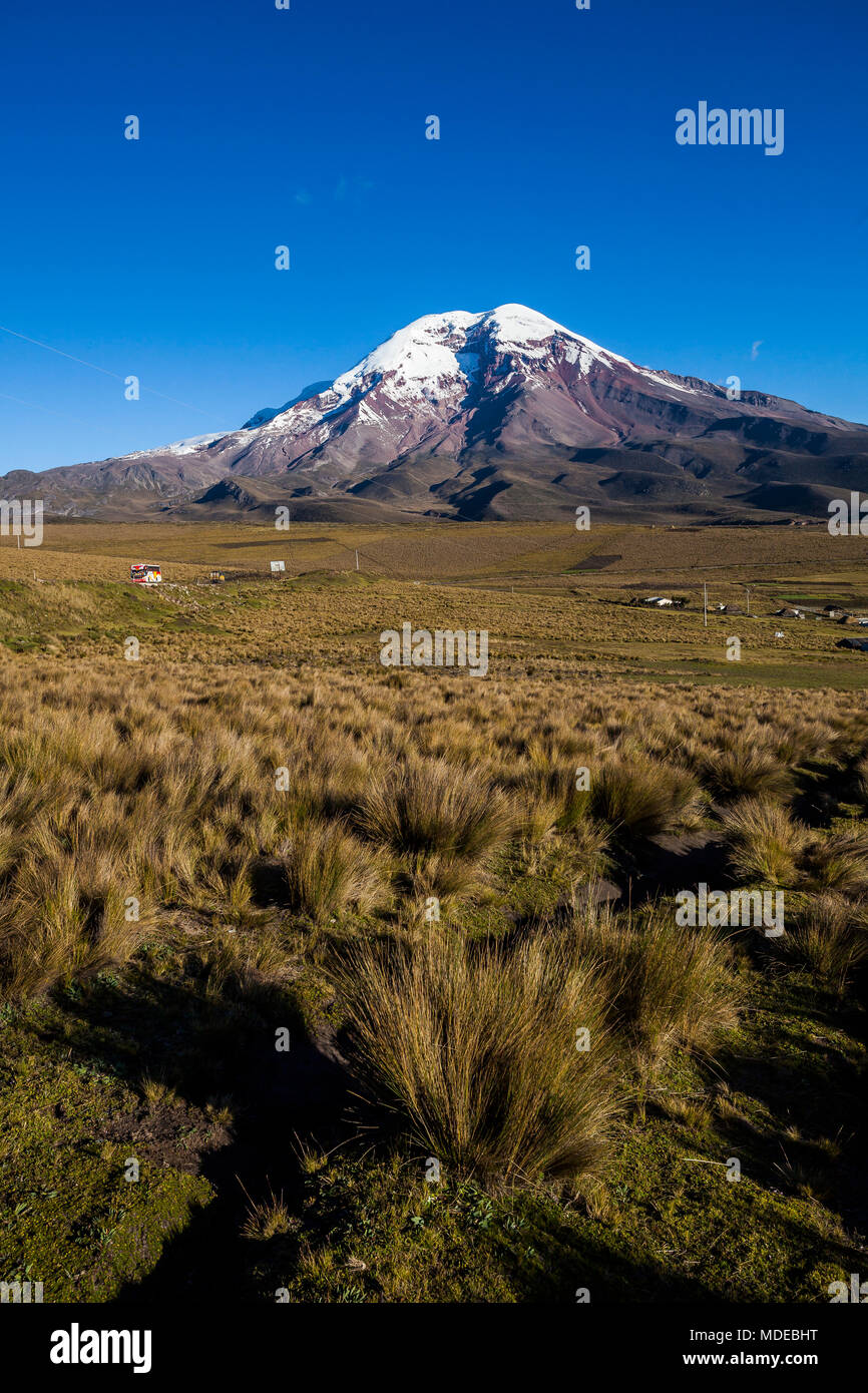 Chimborazo volcano and paramo, Andes, Ecuador Stock Photo - Alamy