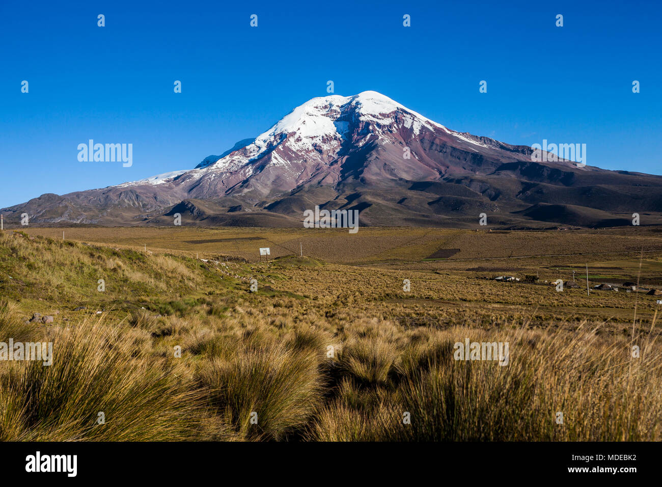 Páramo andes hi-res stock photography and images - Alamy