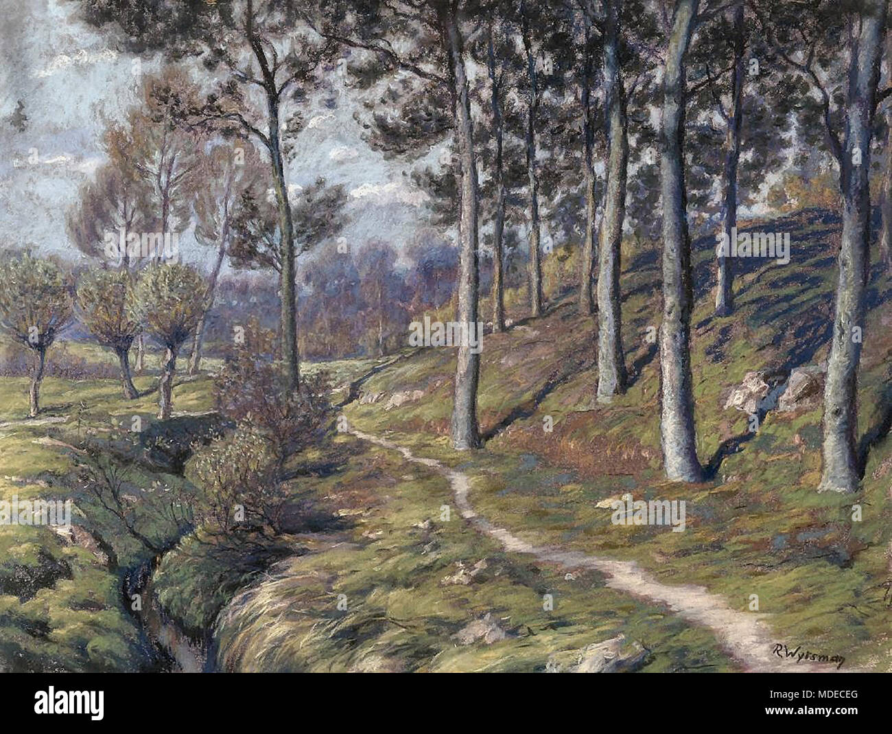 Boslandschap hi-res stock photography and images - Alamy