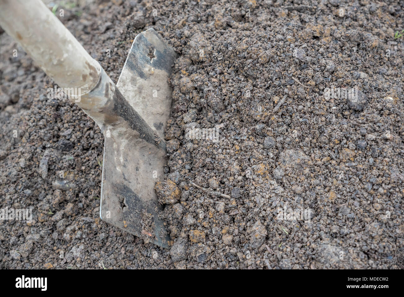 Shovel placed on the big soft natural soil heap.Gardening tool inserted ...