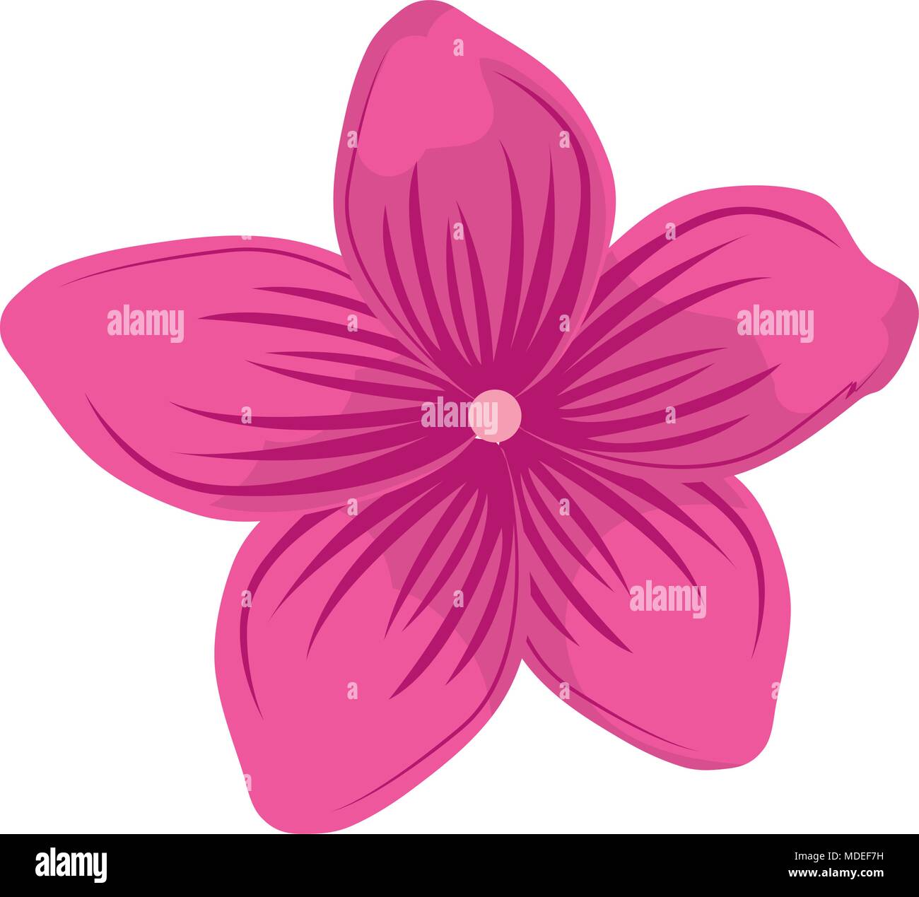 Very nice flower Stock Vector Images - Alamy