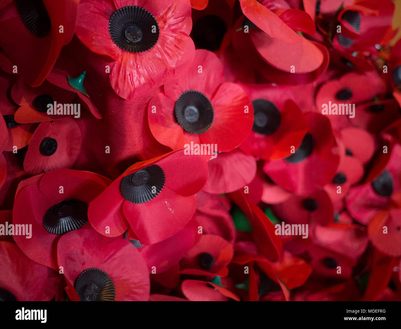 Decorative poppies made out of plastic Stock Photo - Alamy