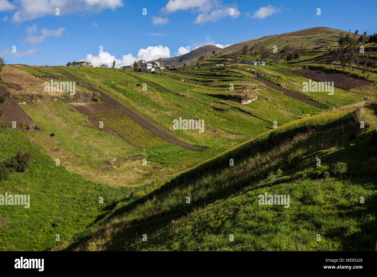 Cultivated fields in the high moors of Chimborazo, Ecuador Stock Photo ...