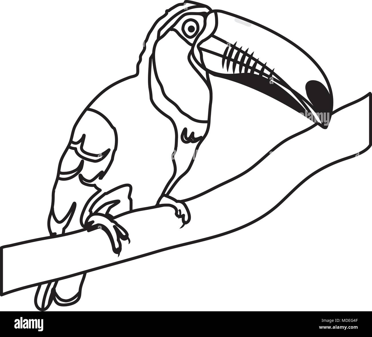 line beauty toucan bird animal in the branch Stock Vector Image & Art ...