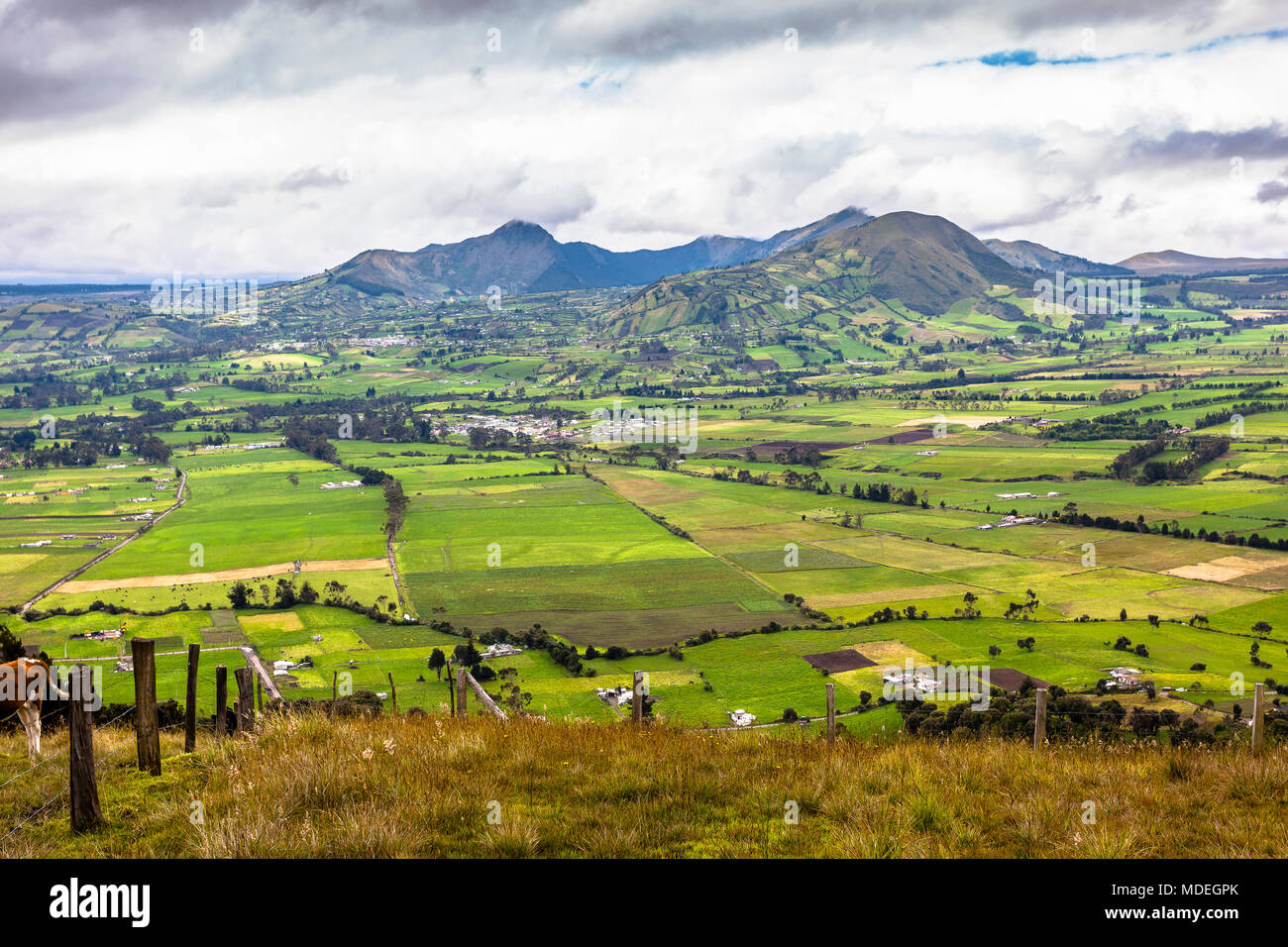 Cultivated fields in the Ecuadorian Sierra, the Andes, Machachi ...