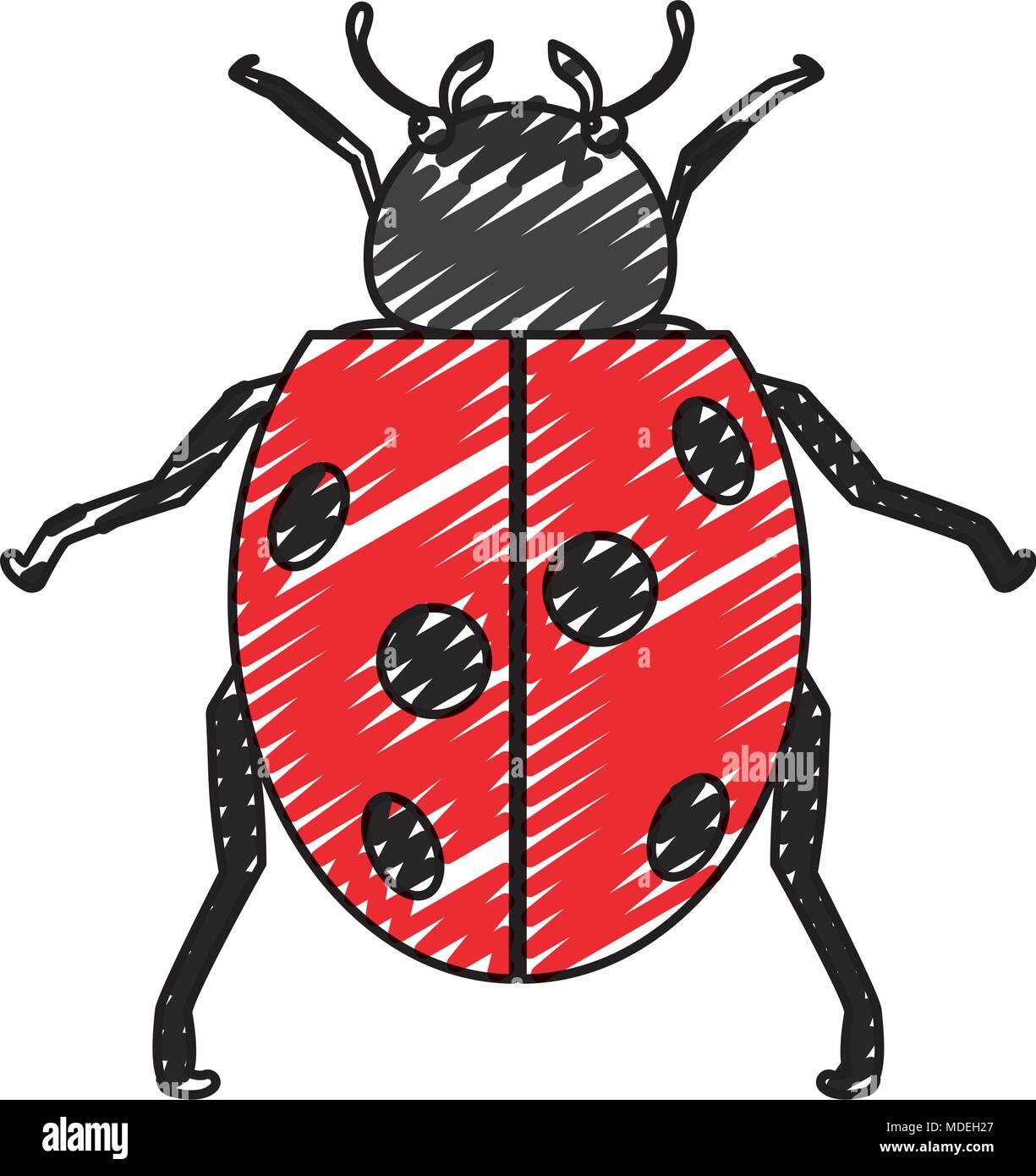 doodle nature ladybug insect animal of spring Stock Vector Image & Art ...