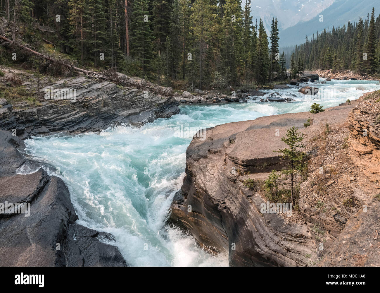 View of the mountain river. Banff National Park Canada Stock Photo - Alamy